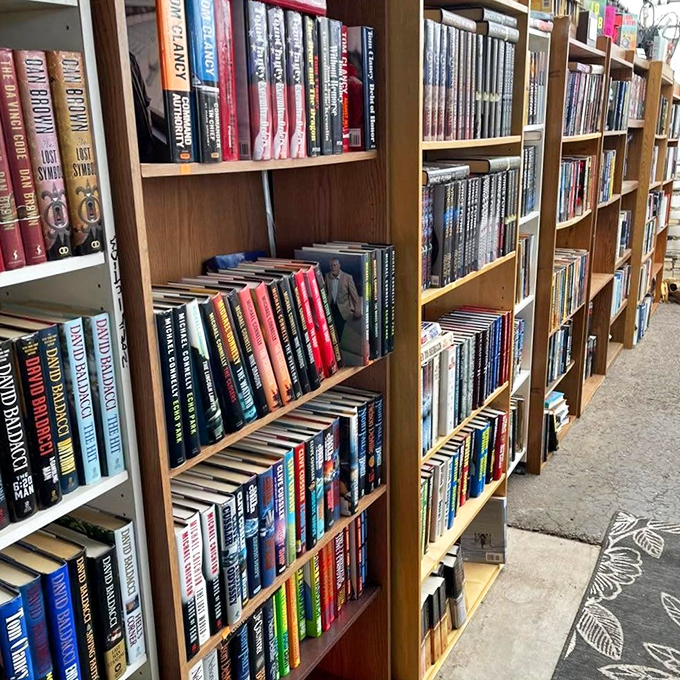 Bookworms rejoice! These shelves hold literary treasures waiting to be discovered for less than a streaming subscription.