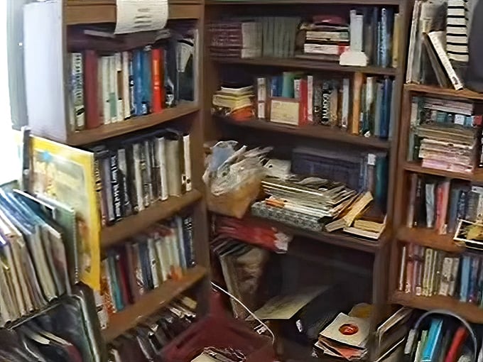 Bookworms rejoice! These shelves offer literary journeys at pocket-change prices—intellectual wealth without the financial sacrifice.