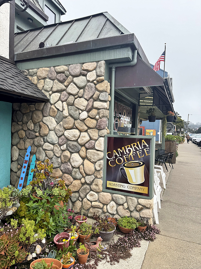 Cambria Coffee Roasting Company, where the morning ritual becomes an art form amid stone walls and succulent gardens.