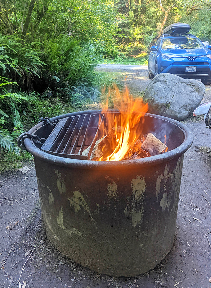 Campfires crackle with stories while towering sentinels stand guard over your evening wilderness conversations.