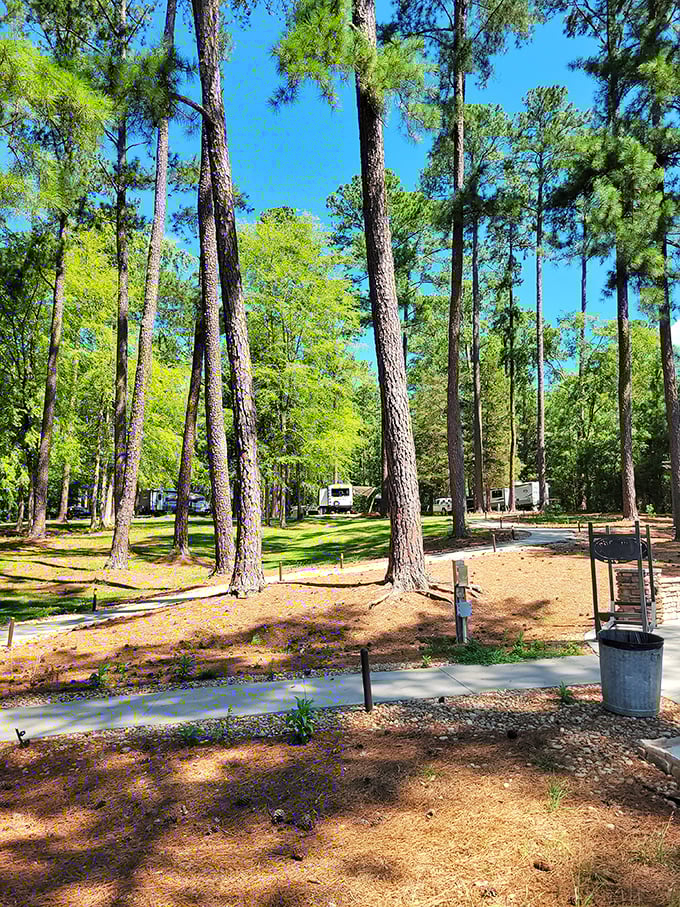RV camping with breathing room. Unlike crowded commercial campgrounds, Chester's sites offer that rarest of modern luxuries: personal space among the pines.