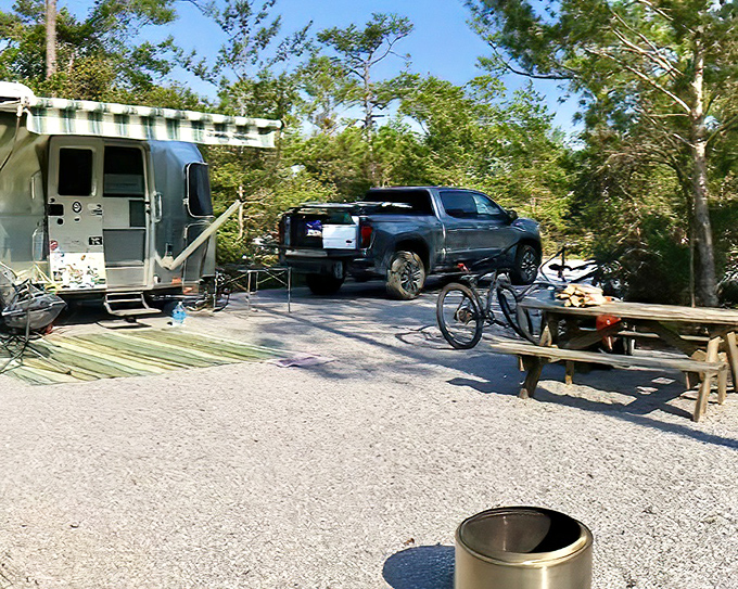 Campsite living: Where morning coffee tastes better with pine-scented air and the distant sound of waves provides nature's soundtrack.