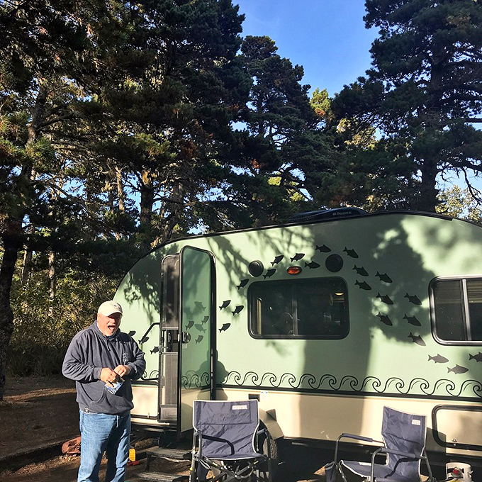 Camping among the pines: where your morning coffee comes with a soundtrack of birdsong and ocean waves.