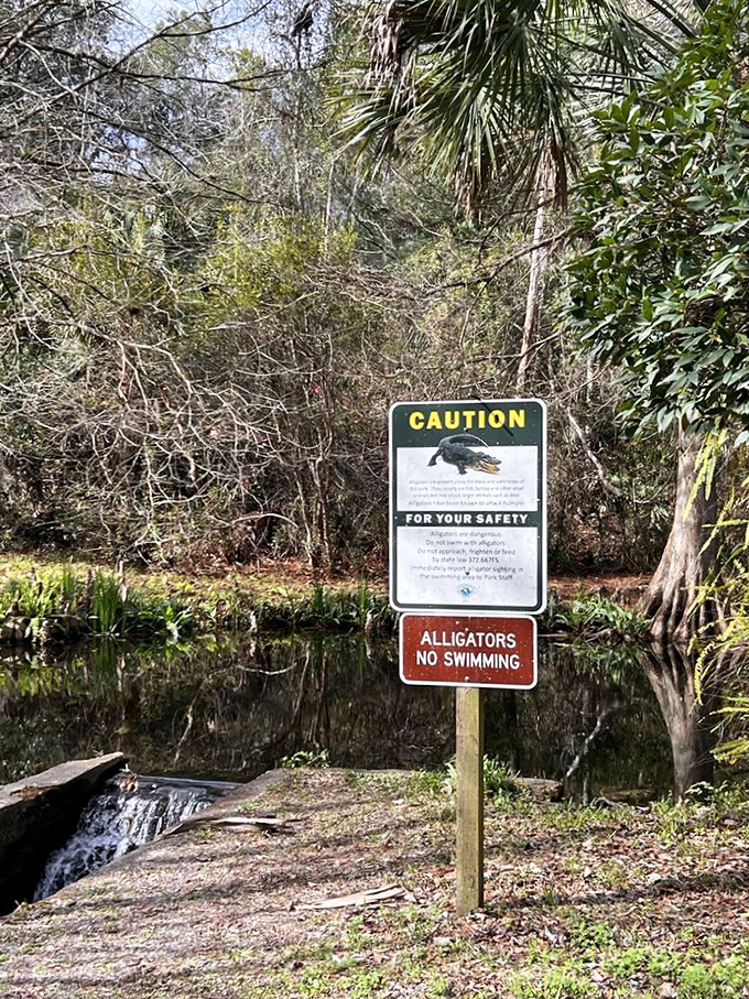 "Alligators: No Swimming" &ndash; possibly the most Florida sign ever. A gentle reminder that some residents prefer you stay on the trails.