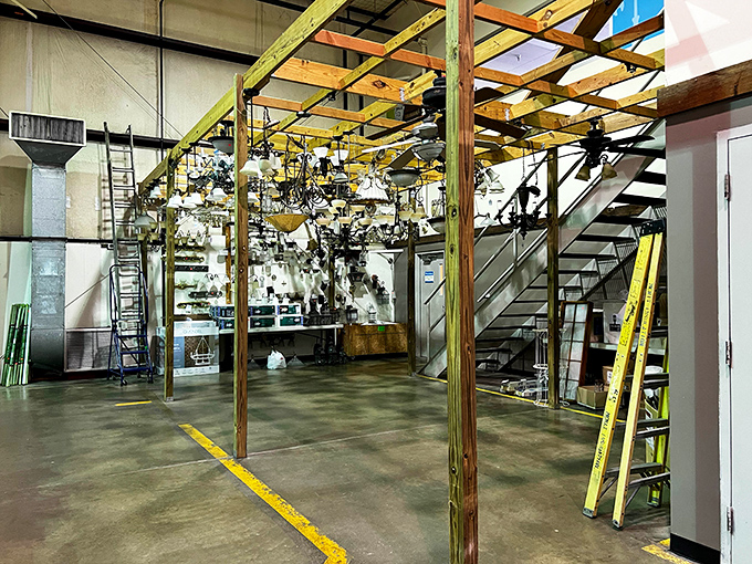 Light fixtures hang like stars, ready to illuminate homes with both function and timeless style.