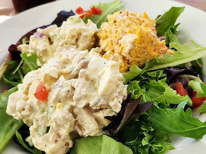 Two kinds of chicken salad sharing a plate like old friends catching up, proving that mayonnaise-based diplomacy is alive and well in Mississippi.