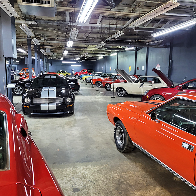 Classic American muscle flexes in this impressive automotive display. Each polished fender reflects our love affair with the open road.