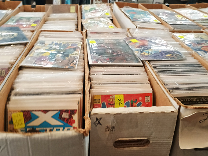Comic book collectors, rejoice! These boxes contain illustrated adventures spanning decades of superhero sagas and graphic storytelling.