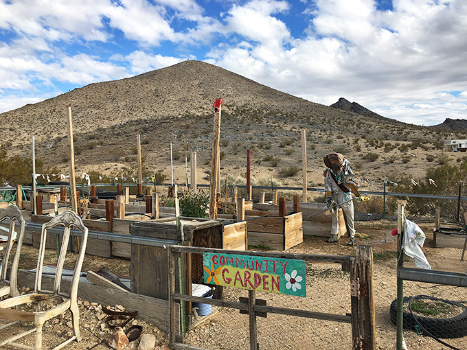 The community garden sign brings unexpected color to the desert palette. Growing hope in the most unlikely soil.