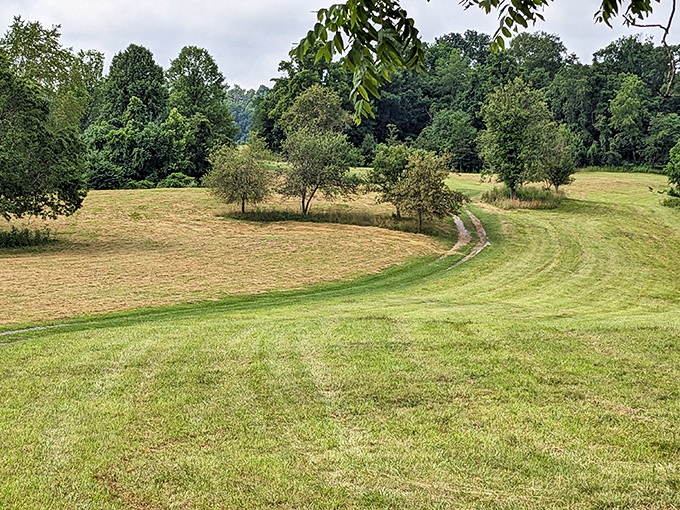 The gentle curve of this meadow path seems to whisper, "Slow down, city slicker&mdash;the best views aren't meant to be rushed."