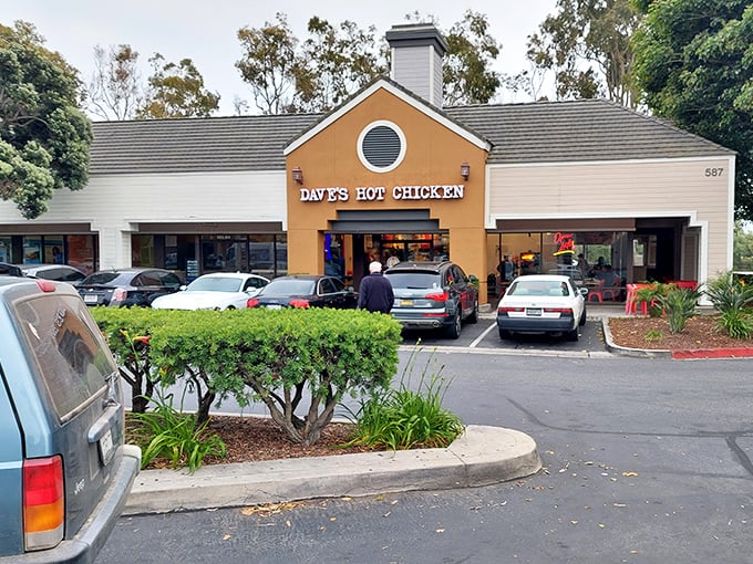 Dave's Hot Chicken arrived without fanfare, serving heat levels that respect both rookies and veterans.