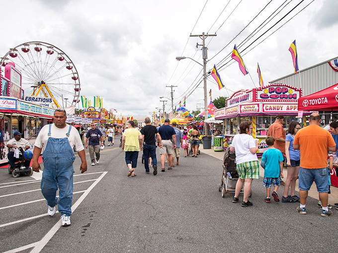 The Delaware State Fair transforms Harrington each July, bringing carnival rides, fried delicacies, and crowds that temporarily multiply the town's population.