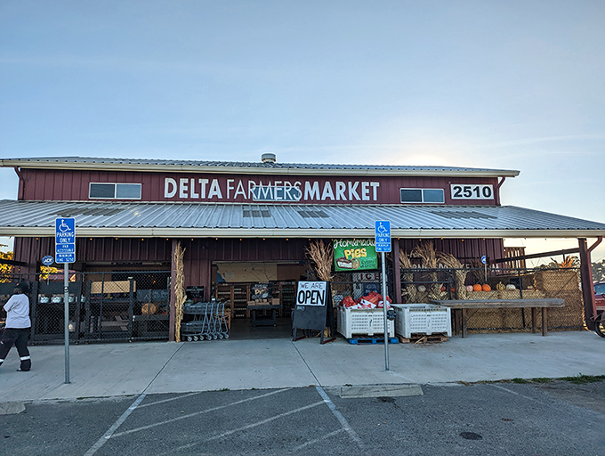 The Delta Farmers Market offers locally grown bounty without pretension—just honest produce from the fertile soil that surrounds this riverside community.