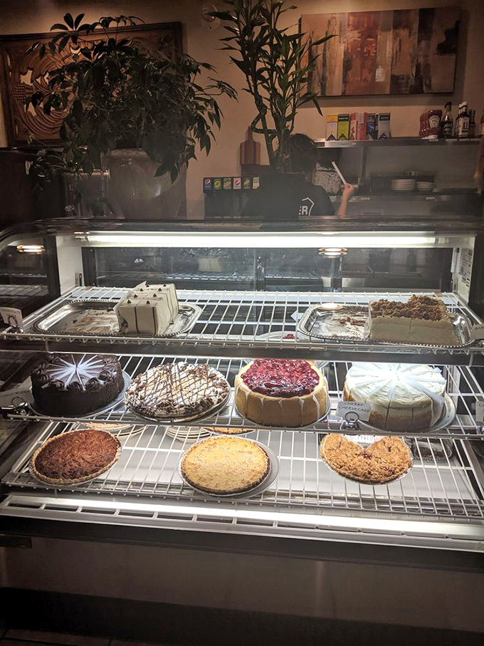 The dessert case—where willpower goes to die and "I'll just have a bite" becomes the lie we tell ourselves.