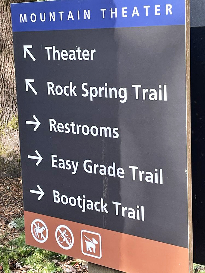 Trail signs point to adventures in every direction, offering a choose-your-own-adventure where every choice leads to something spectacular.