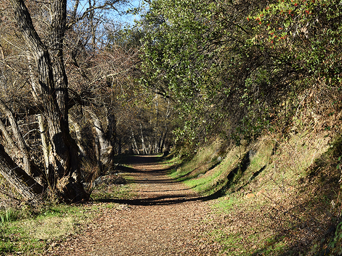 Dragoon Gulch Trail beckons with dappled sunlight and the promise of conversations uninterrupted by notification pings or urgent emails.