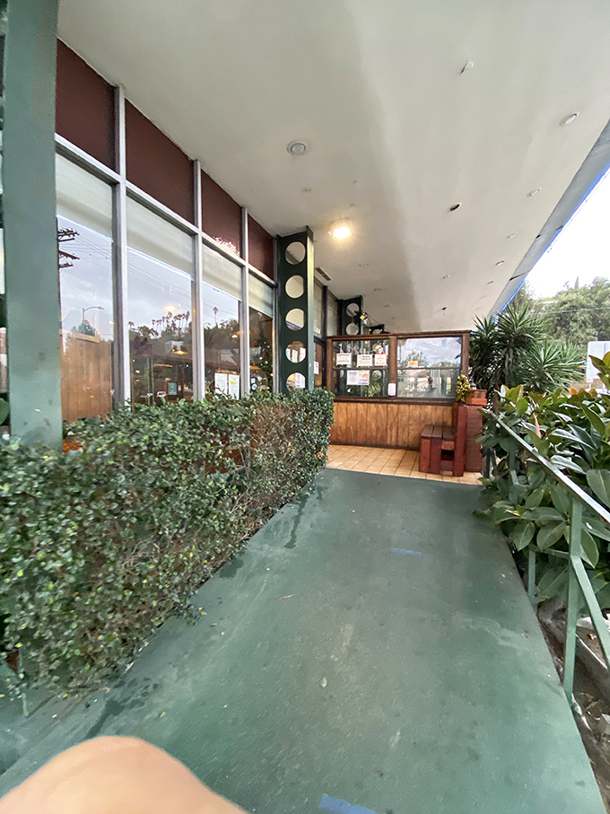 The entrance pathway feels like a portal to a simpler time, when restaurants weren't trying to be Instagram backdrops.