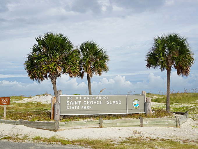 Three palm trees stand guard over the park entrance sign like botanical bouncers protecting Florida's most exclusive natural club.