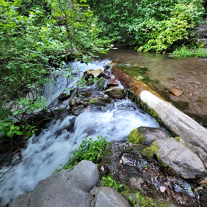 Water dances over moss-covered rocks, creating nature's version of a spa soundtrack that no recording studio could ever duplicate.