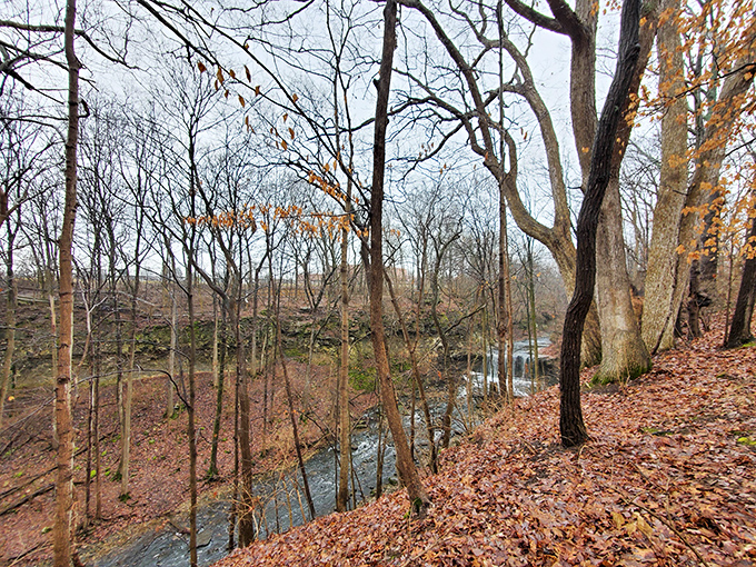 Late autumn reveals the bones of the forest, where the stream continues its patient journey, carving tomorrow's landscape one ripple at a time.