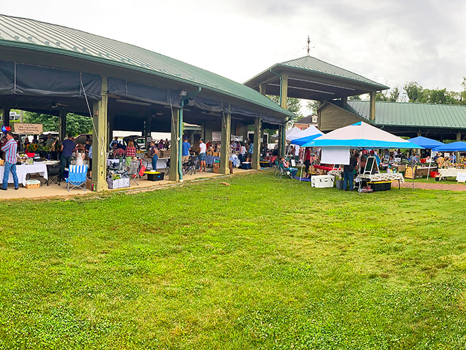 The farmers market pavilion buzzes with activity, where the distance between farm and table is measured in footsteps rather than miles.