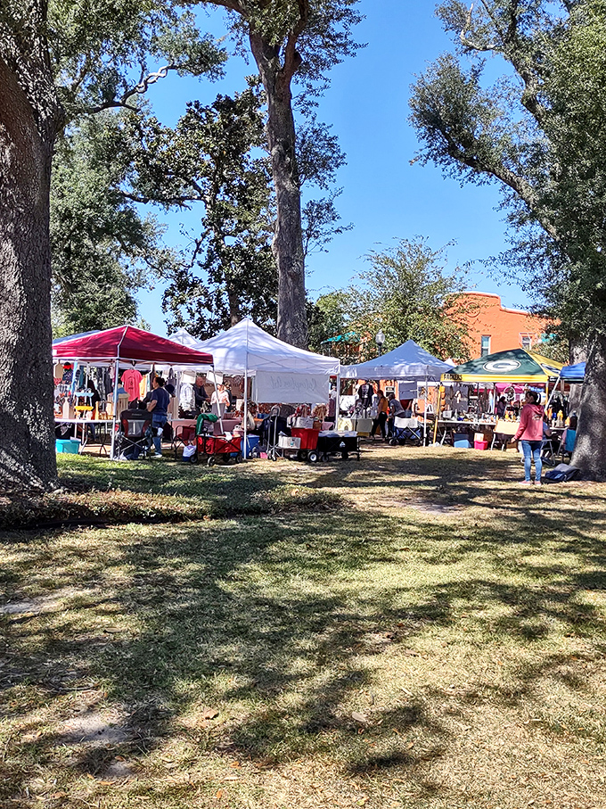 Local farmers markets offer treasures under the trees, where "organic" isn't just a marketing term but a way of Florida life.