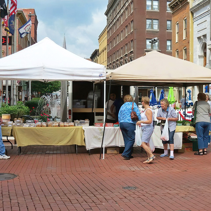Cumberland's Farmers Market delivers farm-fresh produce at prices that make your Social Security check feel like a winning lottery ticket.