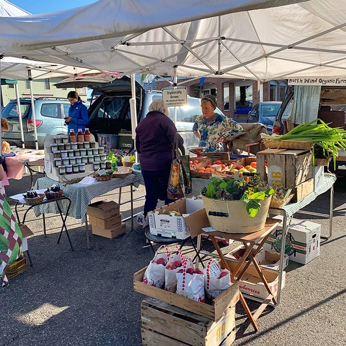 The farmers market brings Bayfield's agricultural bounty directly to eager shoppers, with jams and fresh produce that taste like Wisconsin sunshine.