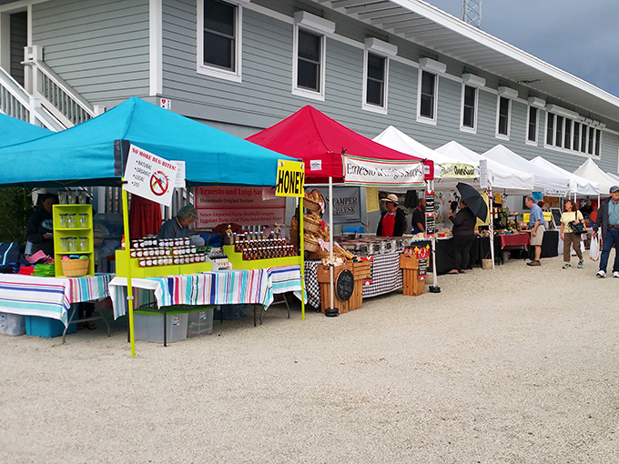 The farmers market: where "just picking up some fruit" becomes a two-hour social event complete with honey tastings and impromptu cooking lessons.