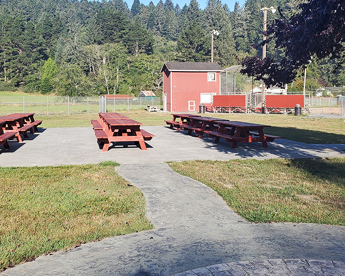 Firemen's Park offers a peaceful spot for picnics and community gatherings, with the town's signature redwood-covered hills providing a dramatic backdrop.