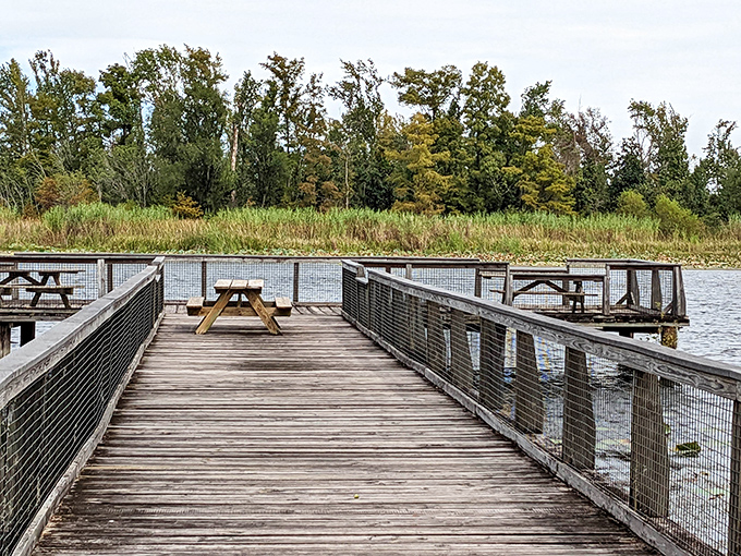 This fishing pier isn't just a structure &ndash; it's a runway extending into possibility, where patience becomes the day's most valuable currency.