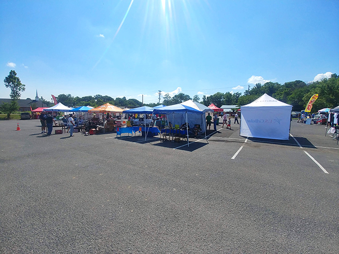 Nothing says "authentic local experience" quite like a sun-drenched small-town market where treasures and conversations flow equally.