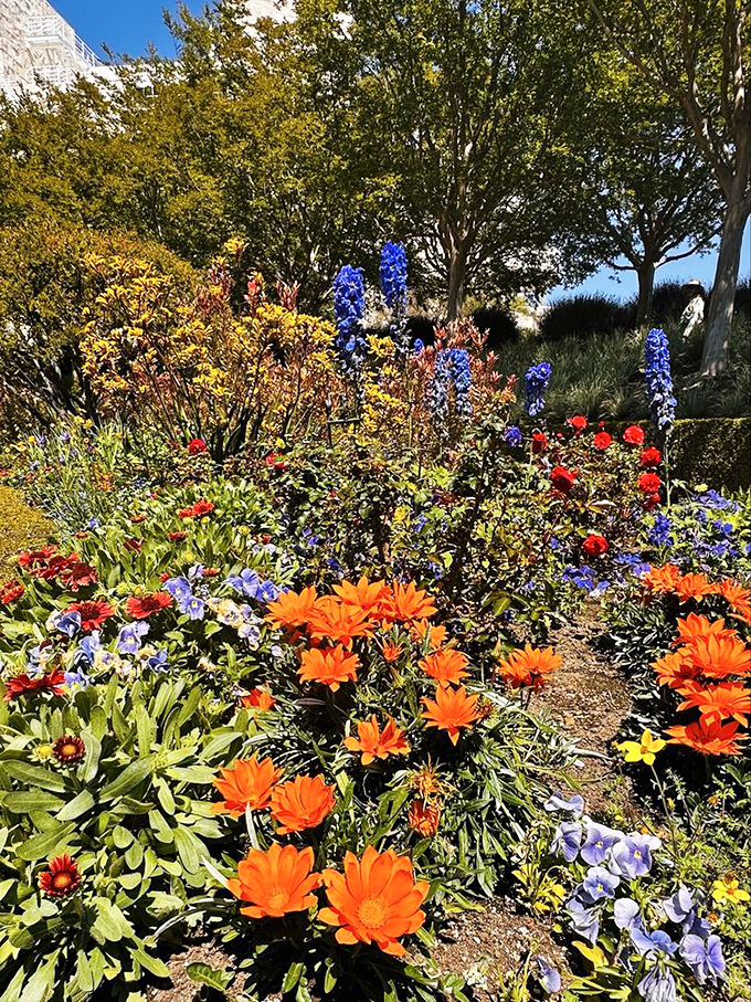 The Getty's gardens burst with California color &ndash; a floral fireworks display that makes your neighbor's prize roses look like they're not even trying.