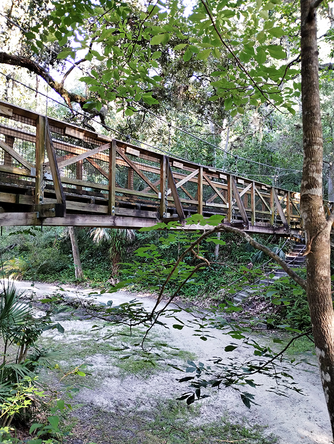 This wooden bridge doesn't just cross water &ndash; it transports you between ecosystems with the casual magic of a Florida afternoon.