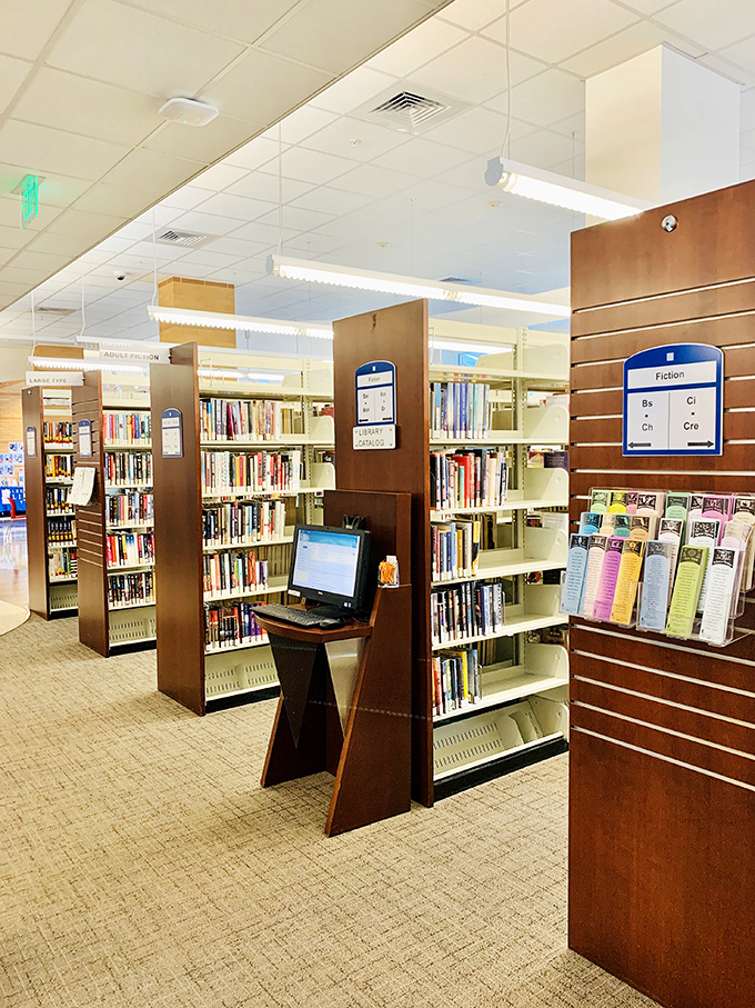 Fort Myers Regional Library proves that the best investment portfolio might just be a library card and comfortable reading chair.