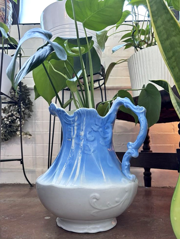 From grandmother's china cabinet to your plant sanctuary&mdash;this blue and white pitcher proves everything deserves a second act.