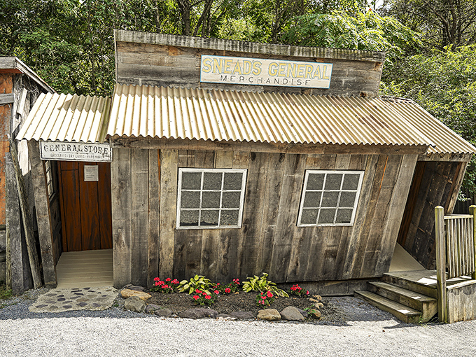 Snead's General Merchandise looks ready to supply your dinosaur-hunting expedition with all the 19th-century essentials.
