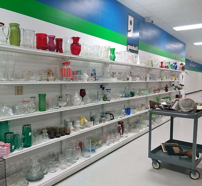 A glassware collection that would make your grandmother swoon—from everyday tumblers to those special occasion crystal pieces nobody actually uses.