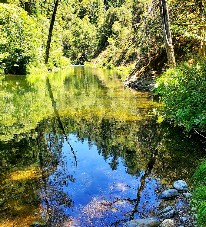 Hedge Creek Falls reflects golden sunlight through emerald foliage, creating the kind of peaceful moment that no filter could possibly improve.