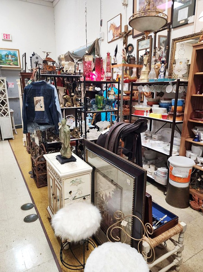 Every shelf in this aisle holds the potential for that "perfect find" moment &ndash; when something catches your eye from across the room.