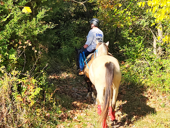 Horseback riding trails offer the original four-hooved drive experience through landscapes no car commercial could ever capture.