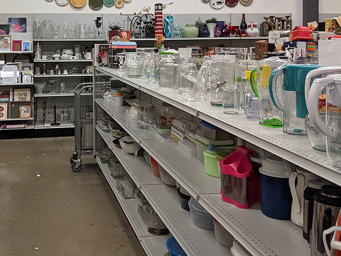 The glassware aisle: where your mismatched collection becomes an intentional aesthetic choice rather than a series of moving-day casualties.