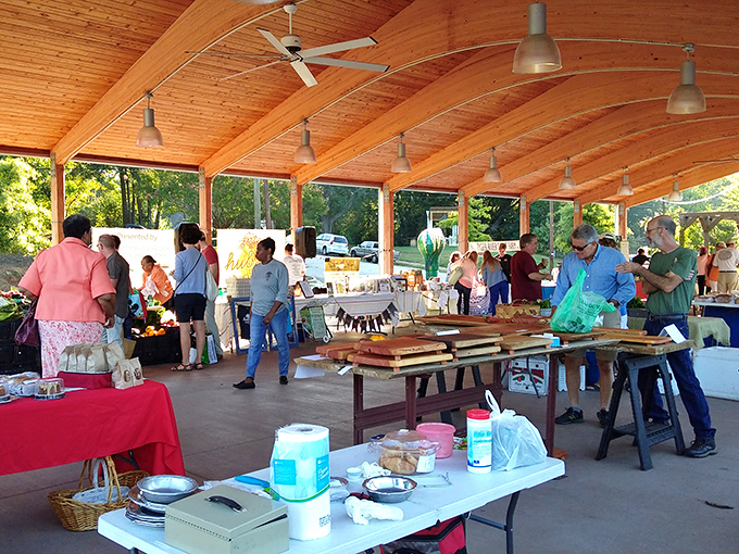 Hub City Farmers Market buzzes with weekend energy as locals exchange recipes, gardening tips, and the kind of neighborhood gossip that makes small-town living special.