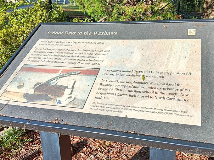 History lessons are more palatable when they don't involve memorizing dates &ndash; this informative display makes learning feel refreshingly optional.