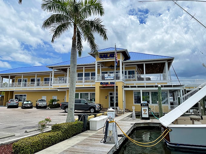 Marina life centers around boats, bait, and the promise of adventure. Where retirement plans include more fishing than financial planning.