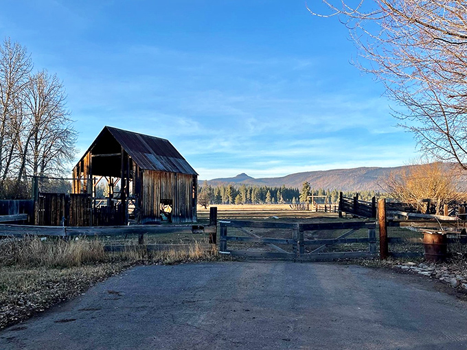 This weathered barn stands as a reminder of Chester's working past &ndash; where function created its own kind of beauty against the mountain backdrop.