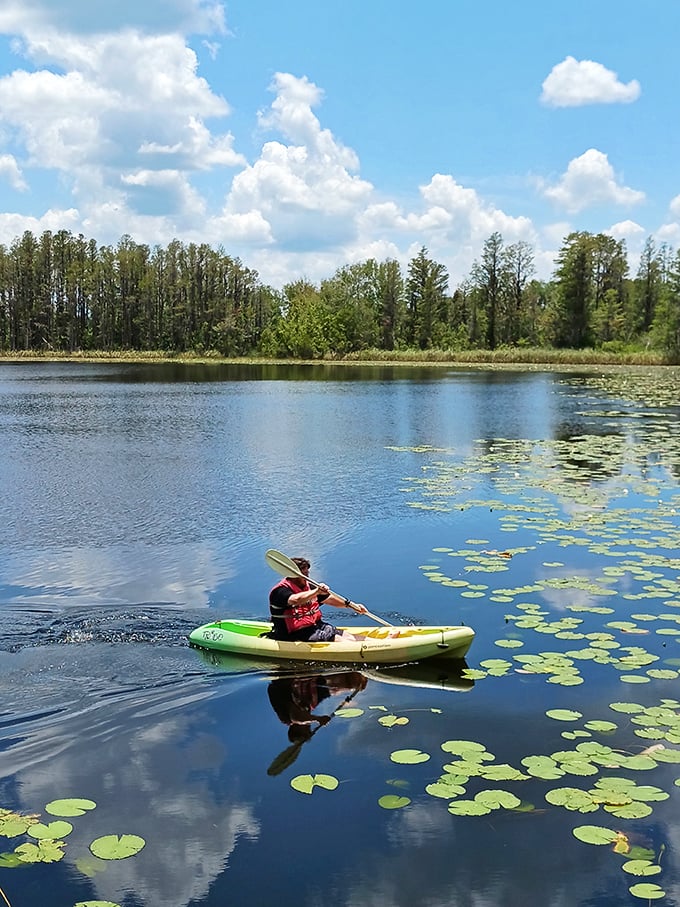 A solitary kayaker glides through lily pads like a watercolor painting come to life, finding the sweet spot between adventure and meditation.