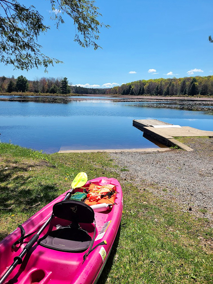 Adventure comes in bright pink! This kayak isn't just transportation&mdash;it's your personal exploration vessel for Black Moshannon's hidden corners.