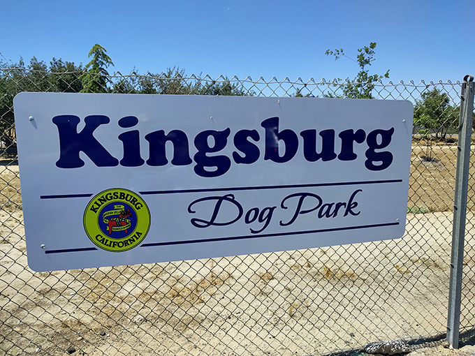 Even dogs get their own slice of Kingsburg paradise. Where Scandinavian hospitality extends to four-legged friends.