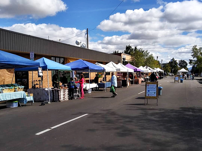 The farmers market – where "locally sourced" isn't a marketing gimmick but simply how things have always been done around here.